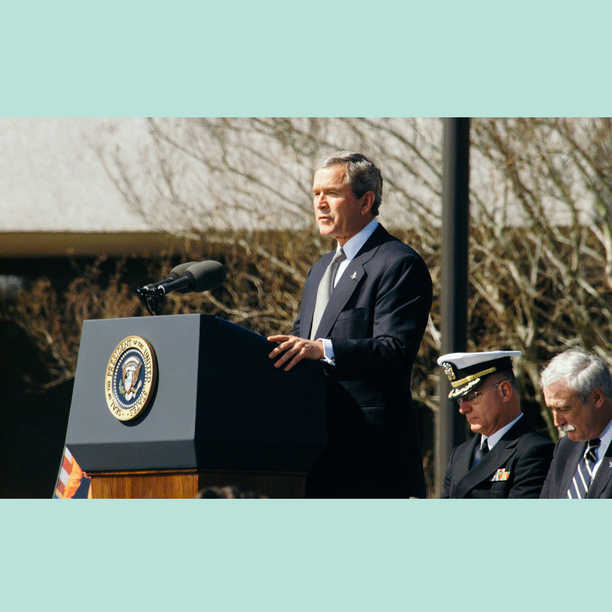 Bushism - Menaka's Blog: Words and Worlds